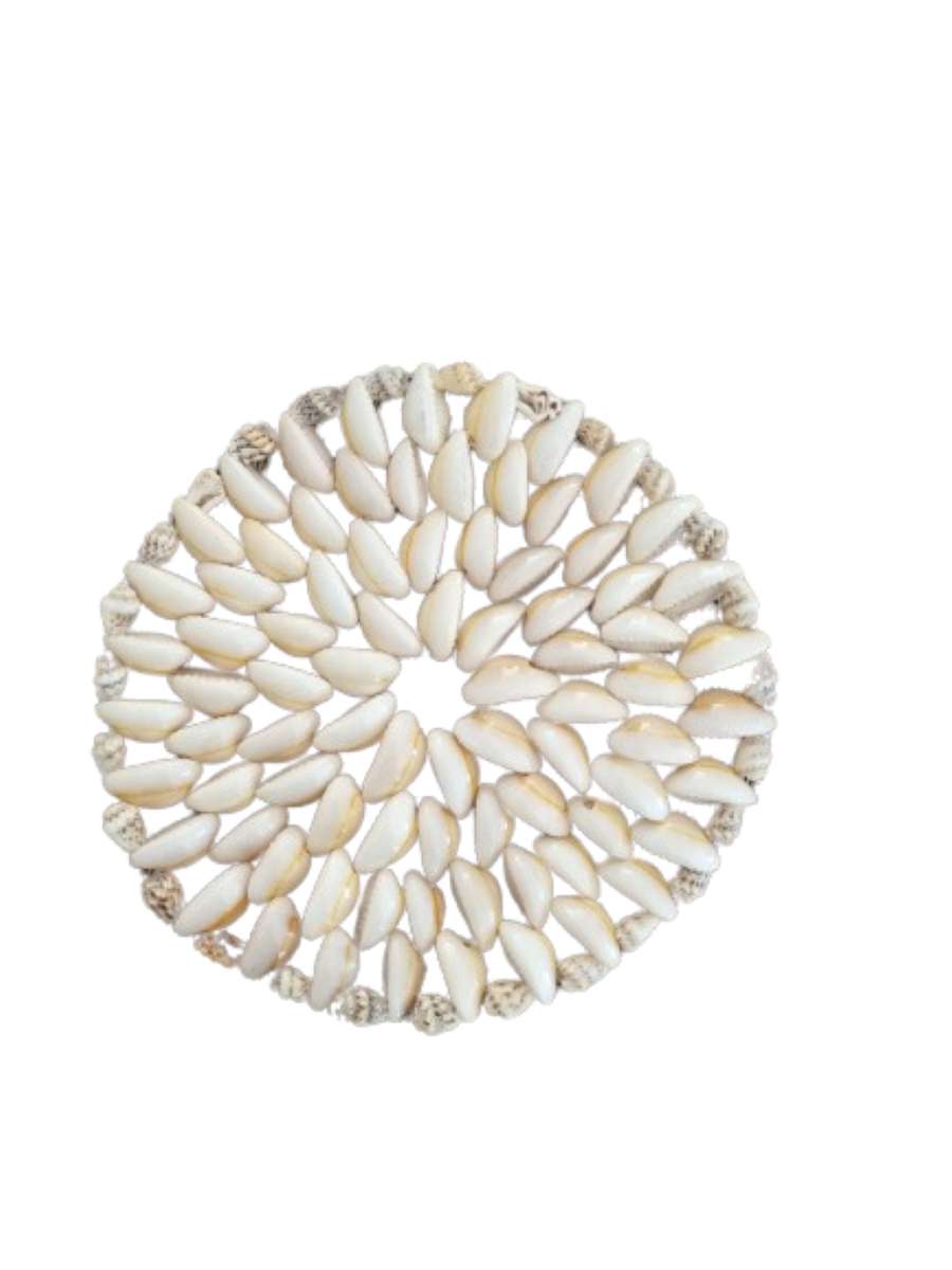 Sea Shell Coaster | Shop Today. Get it Tomorrow! | takealot.com