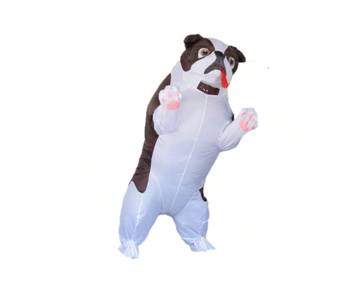 CABS-Inflatable Dog Costume | Shop Today. Get it Tomorrow! | takealot.com
