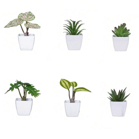 6Pcs Lush Life Miniature Plant Set - Green | Shop Today. Get it ...