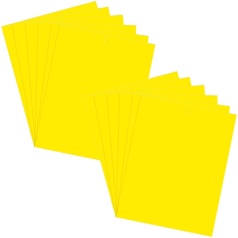 Garden Double Sided Sticky Insect Fly Trap Sheets Set Of 12 (20x30cm ...