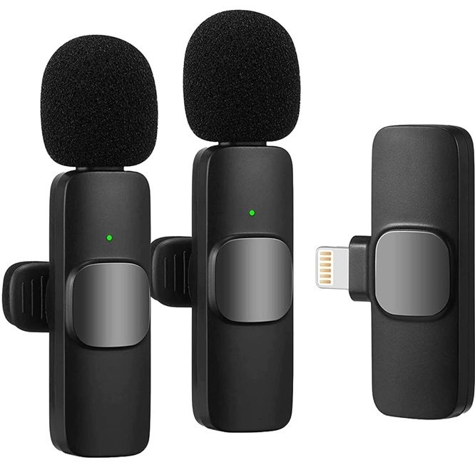 Professional Dual Wireless Microphone IOS ALL Mini Portable Mic ...