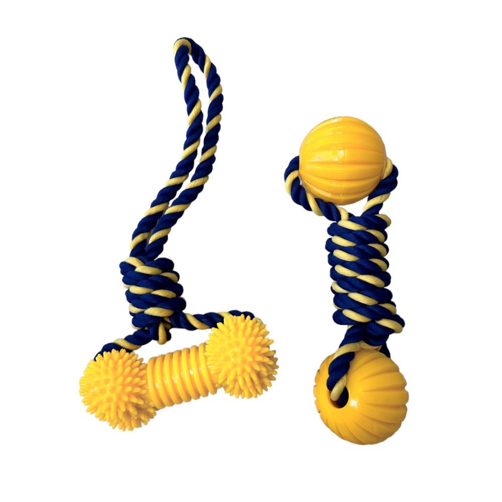 2 Pack Interactive Dog Chew Toys with Rope | Shop Today. Get it ...