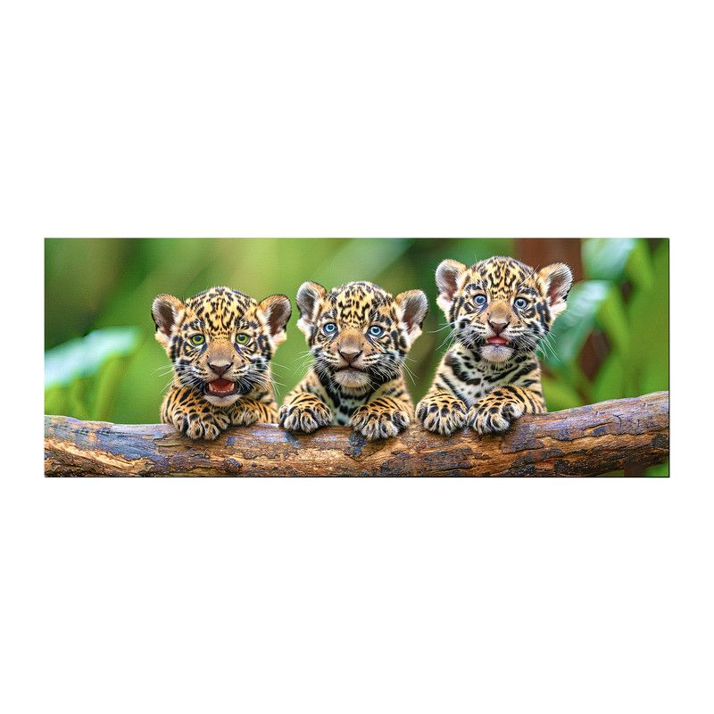 Baby Jaguar Desk Pad | Shop Today. Get it Tomorrow! | takealot.com