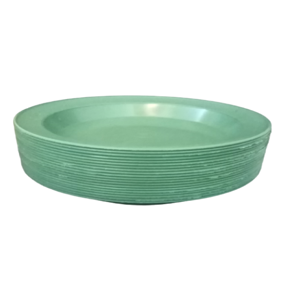 Pack of 20 Re-usable Plastic Plates | Shop Today. Get it Tomorrow ...