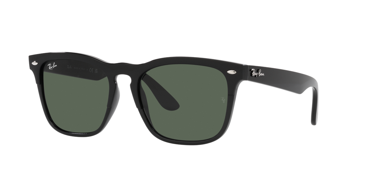 Ray-Ban Steve Sunglasses RB4487 662971 54 | Shop Today. Get it Tomorrow ...