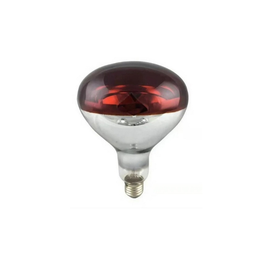 Poultry Infrared Light Bulb 200W - Vale Packs | Shop Today. Get it ...