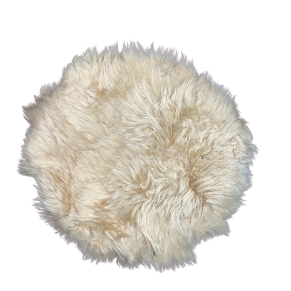 New Zealand Shorn wool Seat Pad | Shop Today. Get it Tomorrow ...