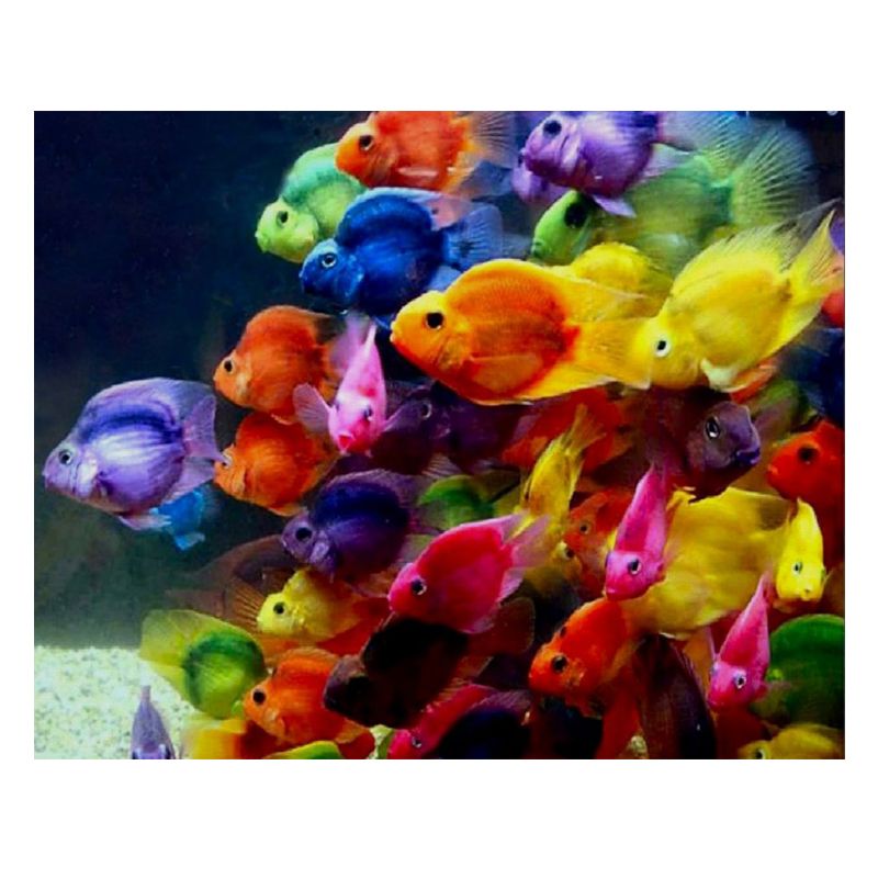 Easy Craft Diamond Painting DIY Kit, 50x40cm- Colorful Fish | Shop ...