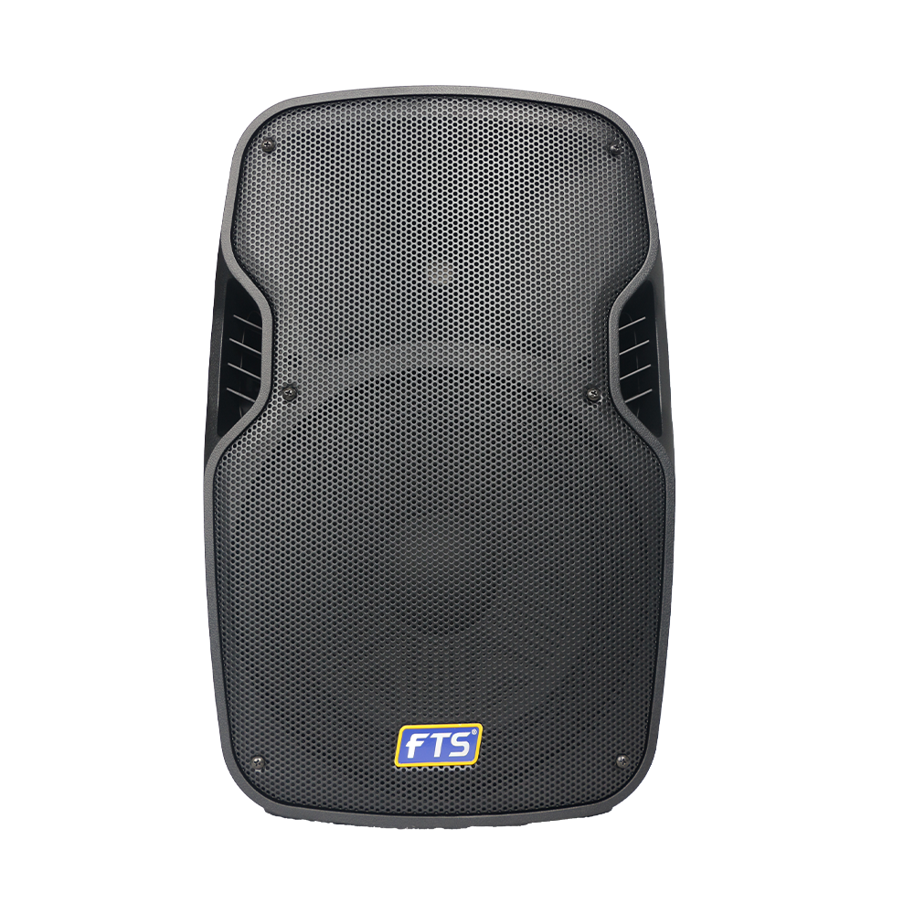 FTS 15" Plastic Passive 250W Speaker [FTS-1515P] | Shop Today. Get it ...