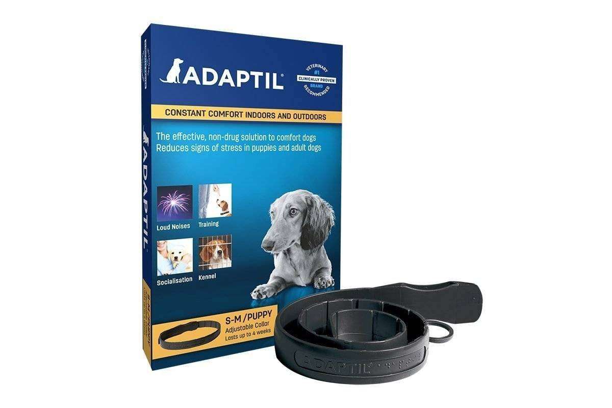Adaptil Pheremone (DAP) Collar - Puppy/Small - 45cm | Shop Today. Get ...