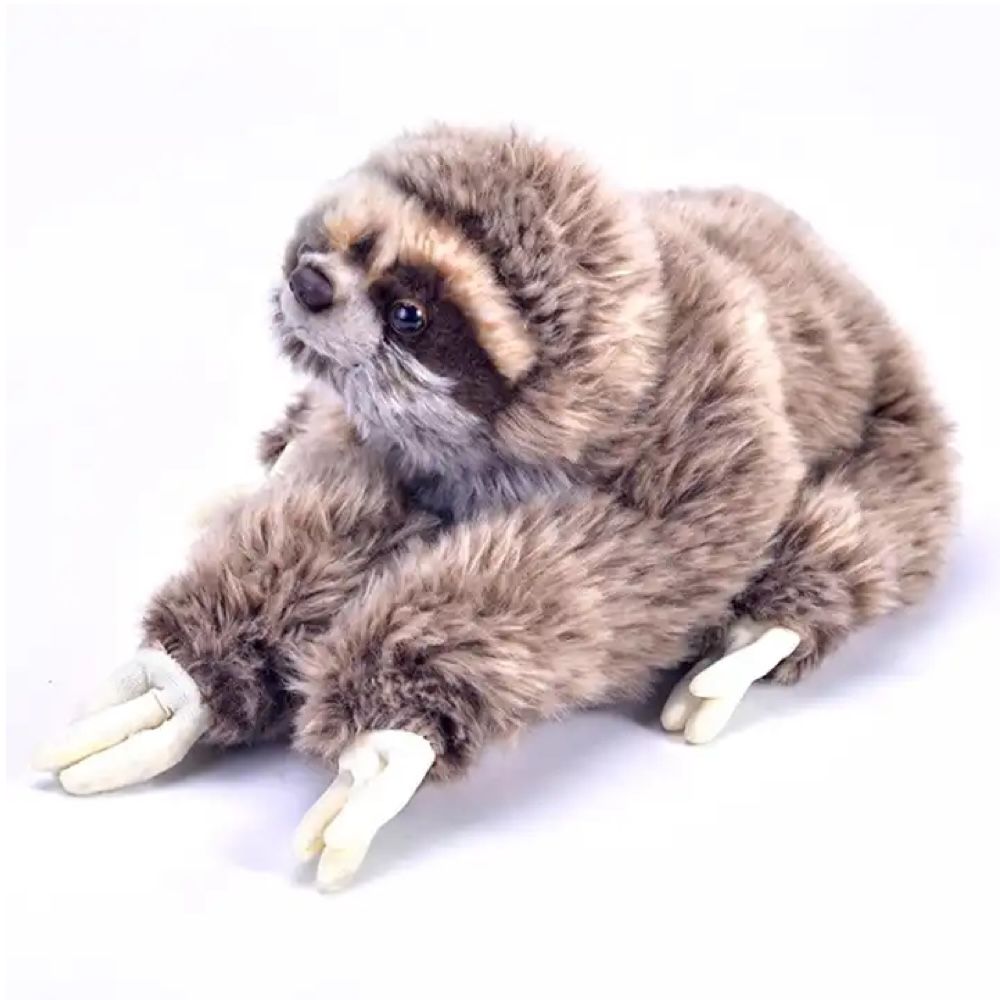 Toy Plush National Geographic Sloth (35cm) | Shop Today. Get it ...