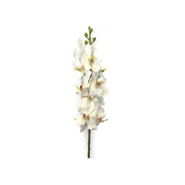 Toolhome Blossoms - Orchid Vanda White - 74cm | Shop Today. Get it ...