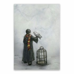 Harry Potter And The Owl Hedwig Poster - A1 | Shop Today. Get it ...