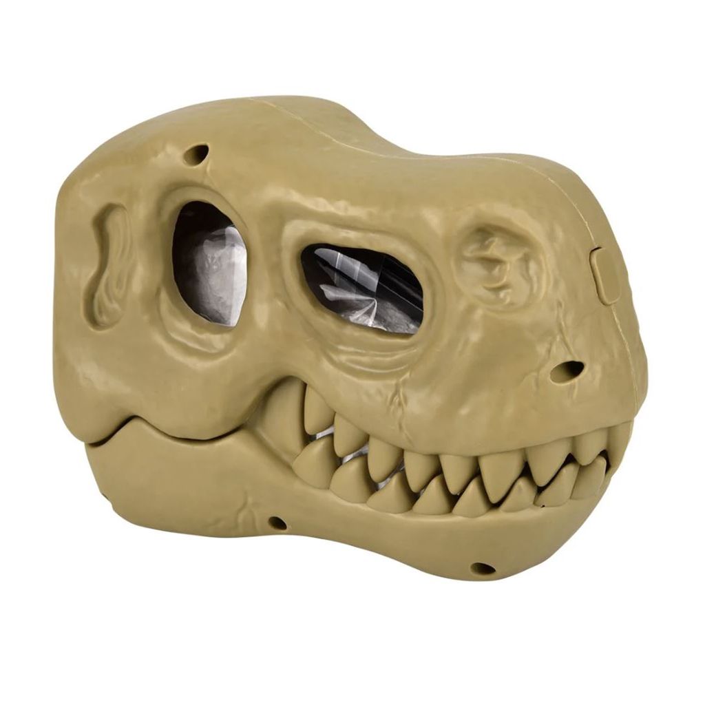 Dinosaur Fossil Dig Set | Shop Today. Get it Tomorrow! | takealot.com