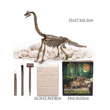 Brachiosaurus Skeleton Model