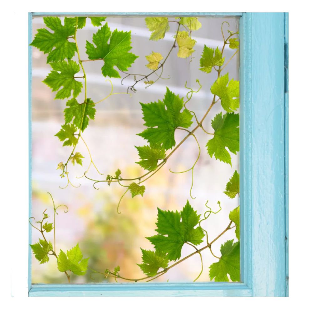 Decor Reusable Anti-Collision Green Vine Window Decoration Sticker ...