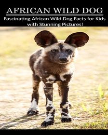 African Wild Dog: Fascinating African Wild Dog Facts for Kids with ...