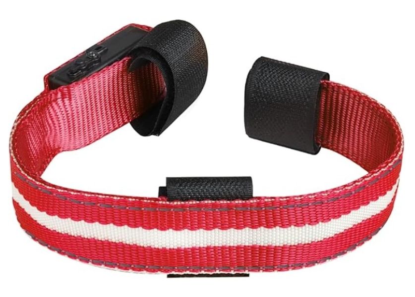 Flat Optical Luminous Fiber Collar (Medium, Red) | Shop Today. Get it ...