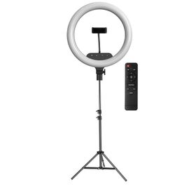 Professional 14 Inch Ring Light with 2M Tripod Remote and Phone Holder ...