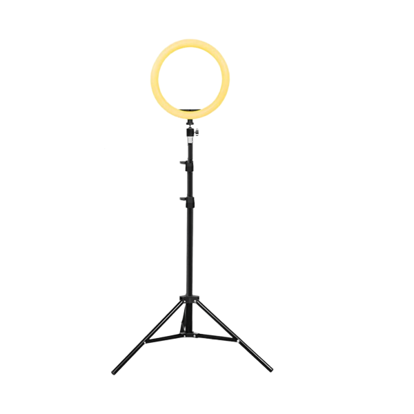 10 Inch Ring Light With Tripod Stand | Shop Today. Get it Tomorrow ...
