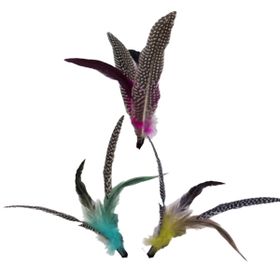 zaBird Refill Set 3 - Guinea Fowl Trio | Shop Today. Get it Tomorrow ...