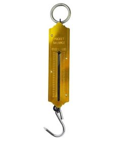 100KG Portable Spring Balance Pocket Scale - Gold | Shop Today. Get it ...