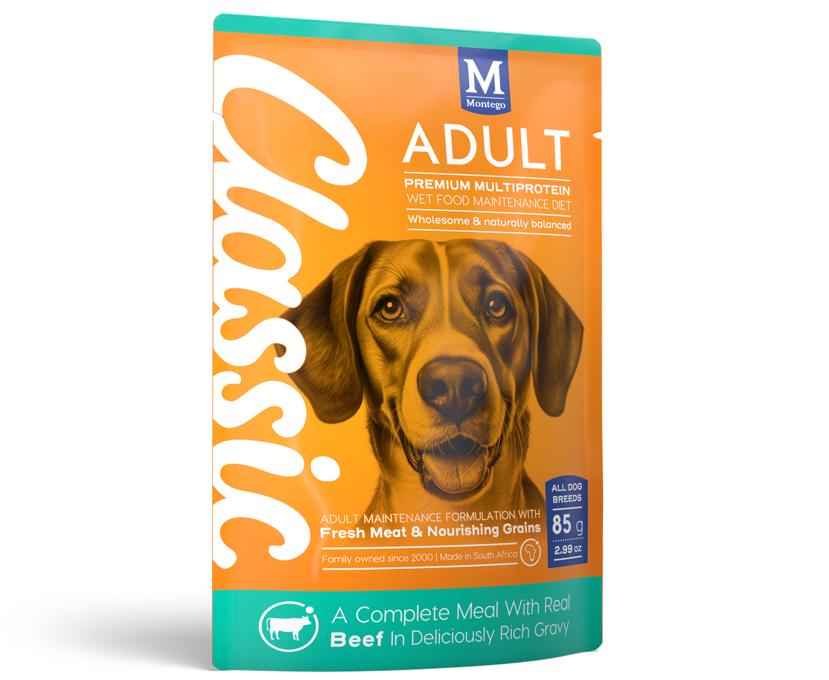 Montego Classic - Adult Dog Wet Food Beef & Gravy Pouches 85g (Pack of ...