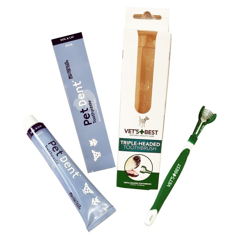 2 Pack - Triple Headed Toothbrush & Pet Dent Toothpaste | Shop Today ...