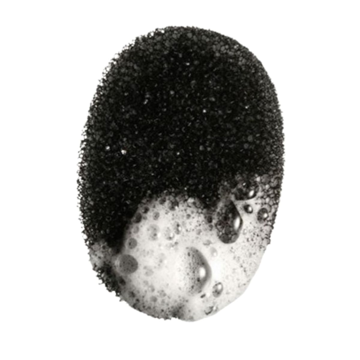 Body Exfoliation Sponge | Shop Today. Get it Tomorrow! | takealot.com