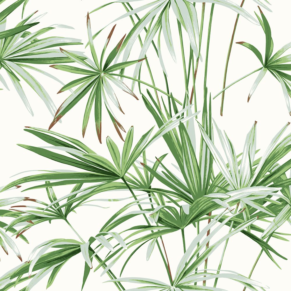 Southeast Asia Tropical Palm tree Design Wallpaper | Shop Today. Get it ...