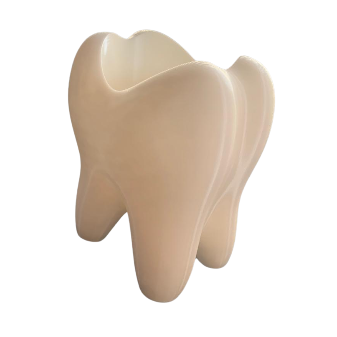Tooth-Shaped Toothbrush Holder | Shop Today. Get it Tomorrow ...