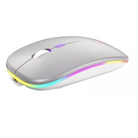 Wireless 2.4GHz Rechargeable Mouse with RGB Lighting - Silver | Shop ...