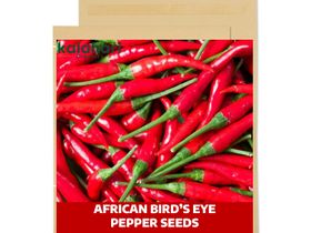 African Bird's Eye Chilli Seeds - The Fiery Heart of Peri-Peri! | Shop ...