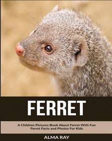 Ferret: A Children Pictures Book About Ferret With Fun Ferret Facts and ...
