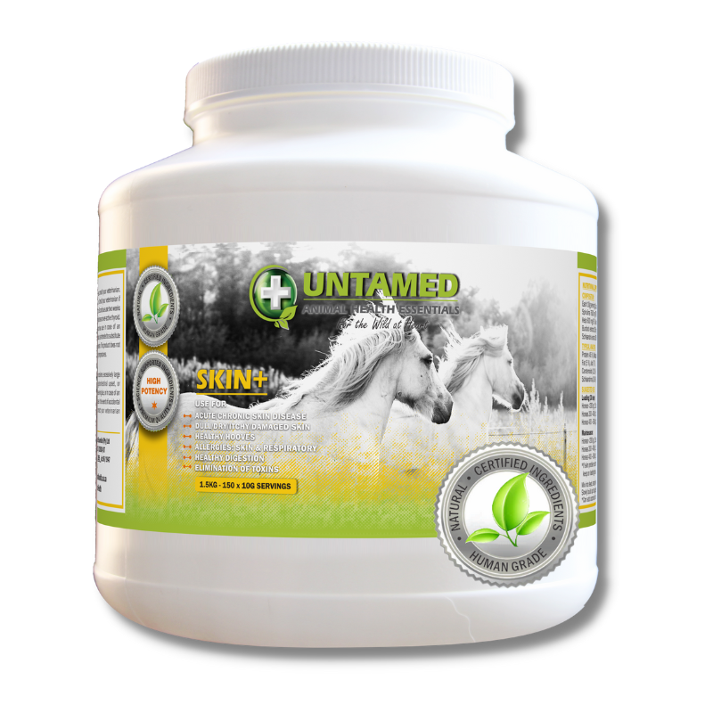 Untamed Skin+ Supplement for Horses (Dull/Inflamed/Infected/Itchy Skin ...