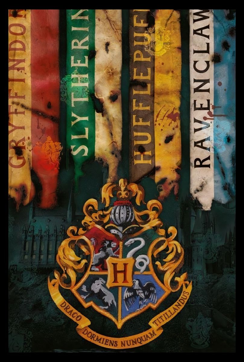 Harry Potter - House Flags 2 Poster with Black Frame | Shop Today. Get ...