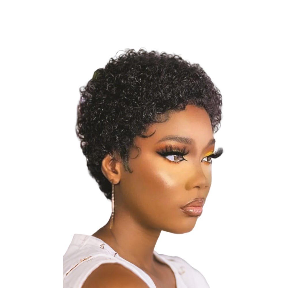 VSP Afro Kinky Curly Human Hair Short Wig Afro Curl Pixie Wig No Lace ...