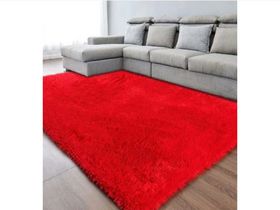 Red Shaggy Fluffy Rug\Carpet | Shop Today. Get it Tomorrow! | takealot.com