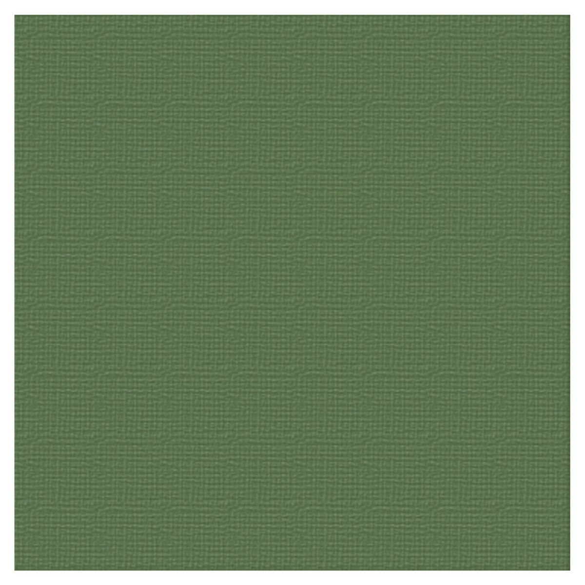Textured Cardstock 12x12 - Pine/Cypress Pine (216gsm, 10 Sheets) | Shop ...