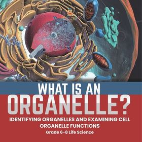 What is an Organelle? Identifying Organelles and Examining Cell ...