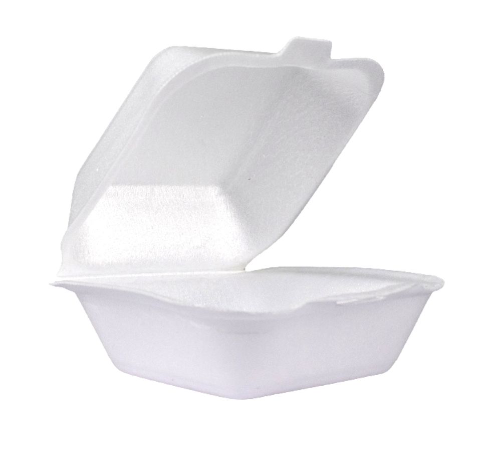 Disposable Foam Takeaway container 75 Pieces | Shop Today. Get it ...
