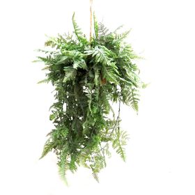 Plants Synthetic Hanging Fern | Shop Today. Get it Tomorrow! | takealot.com