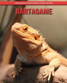 Bartagame: Erstaunliche Bartagame Fakten & Bilder | Buy Online in South ...