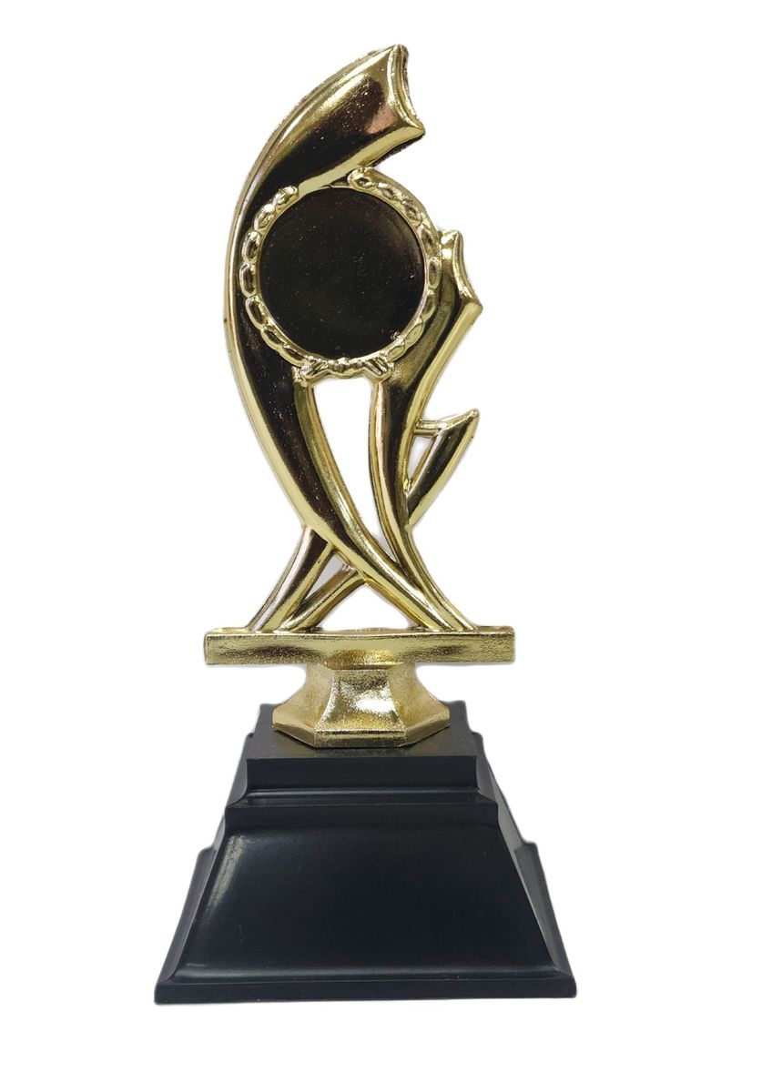 Pack of 10 Gold Trophies With Insert Sticker | Shop Today. Get it ...