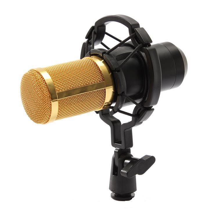 Pro Stage/Music/Broadcast Condenser Microphone & Studio Equipment Set B ...