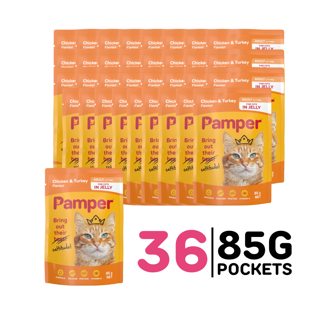 Pamper Adult Wet Cat Food Chicken & Turkey Flavour (36 x 85g) Sachets | Shop Today. Get it ...