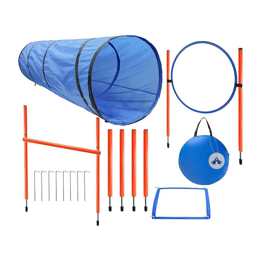 Dog Agility Training Equipment Pet Obstacle Agility Training Starter ...
