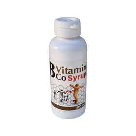 Vitamin B Co Syrup 100ml | Shop Today. Get it Tomorrow! | takealot.com