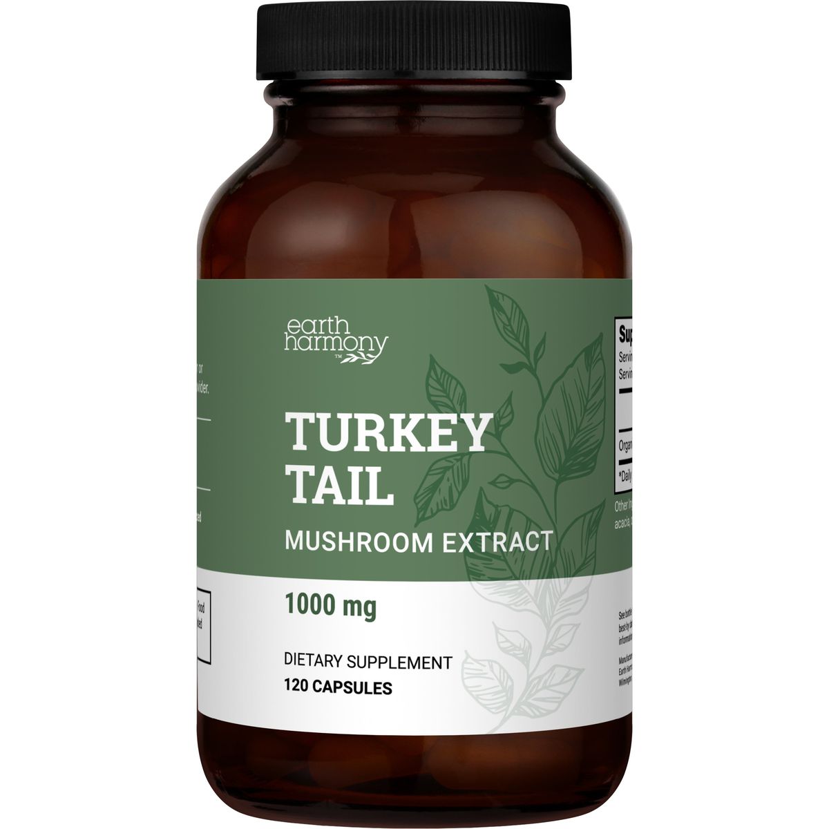 Organic Turkey Tail - Mushroom Extract Supporting Digestive Health ...
