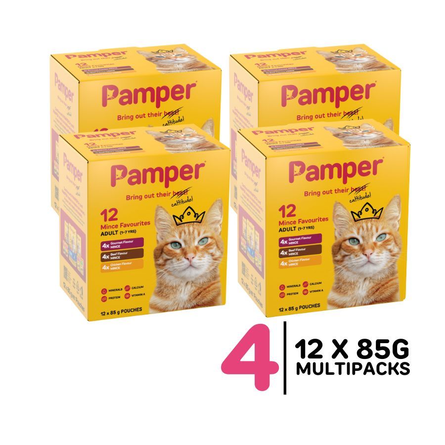 4 x Pamper Wet Cat Food Multipack Mince Favourites Flavour (12 x 85g ...